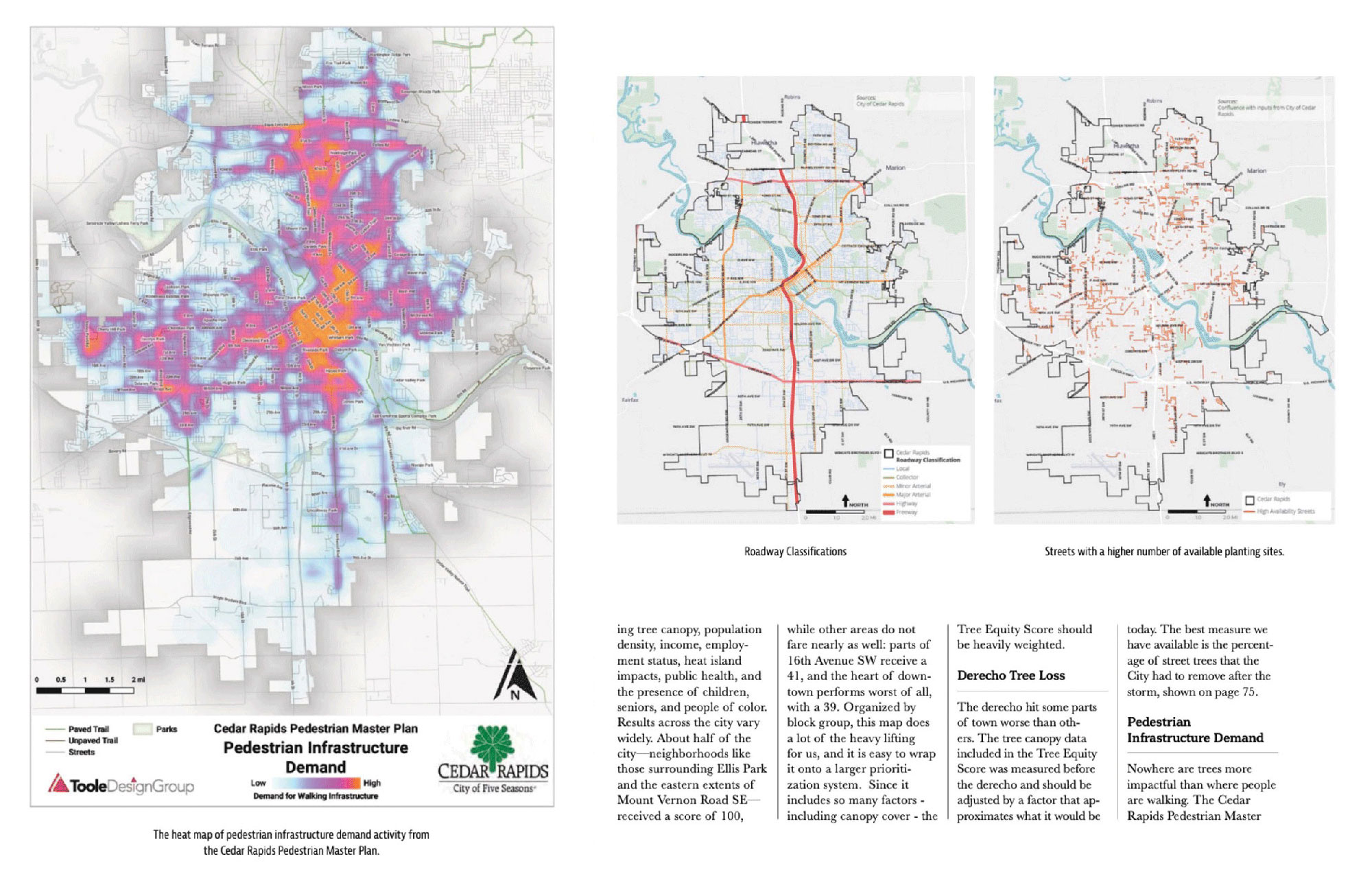 Citywide forestry plan sets a New Urban standard | CNU