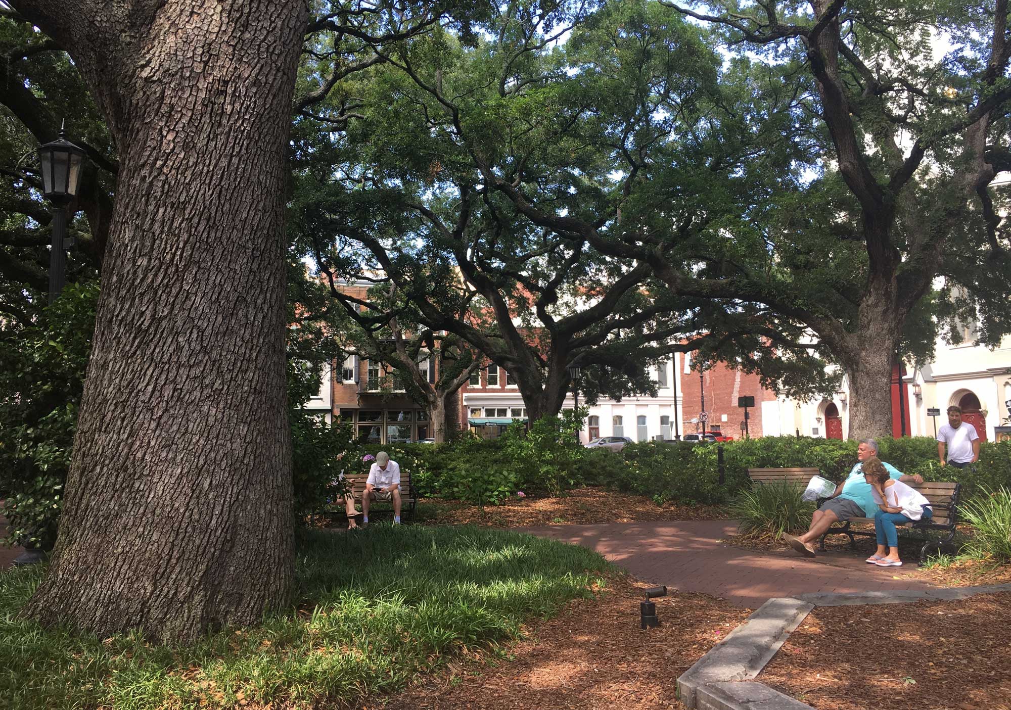 Ten environmental benefits of walkable places | CNU
