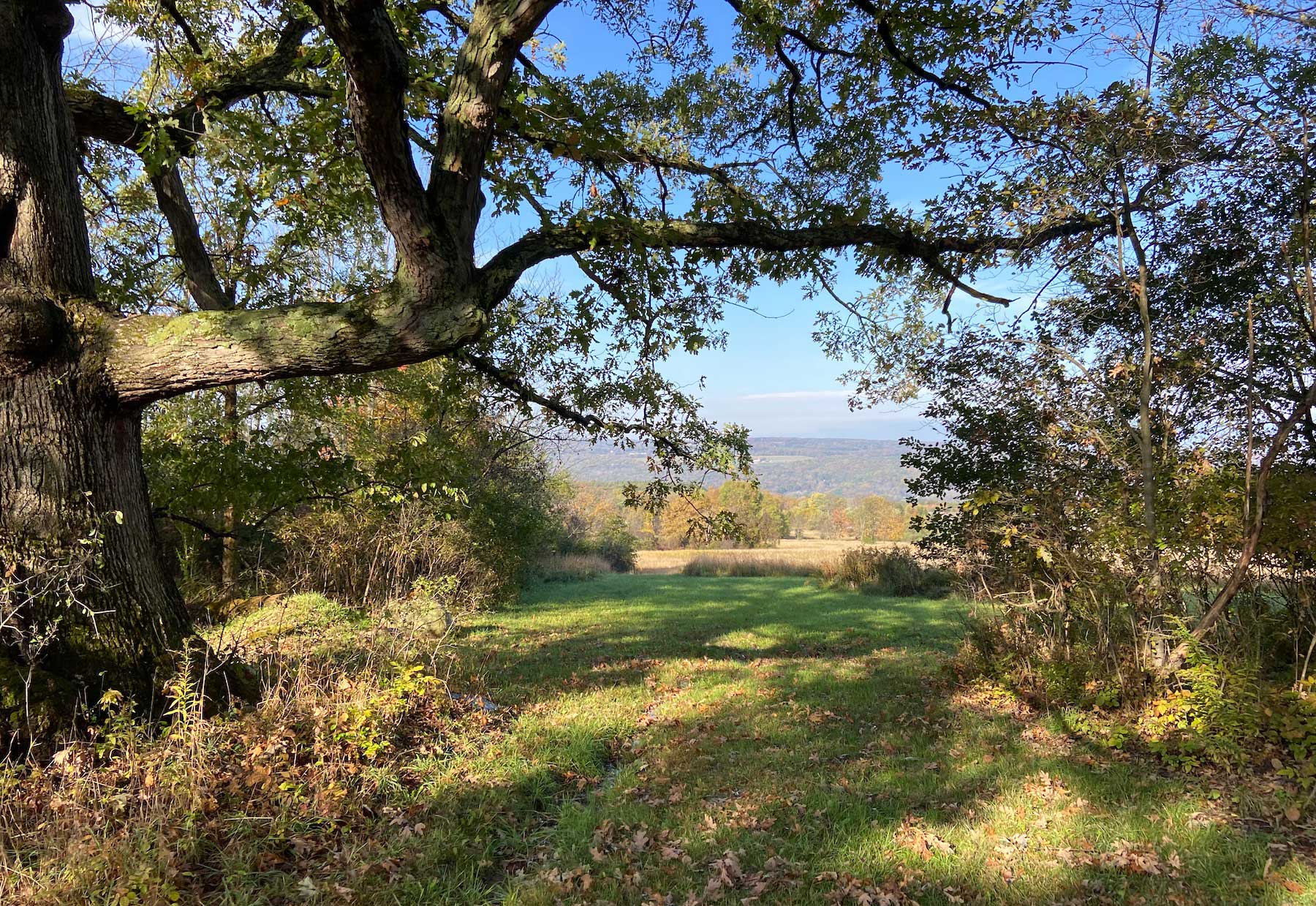 Urbanists designing new village in New York State | CNU