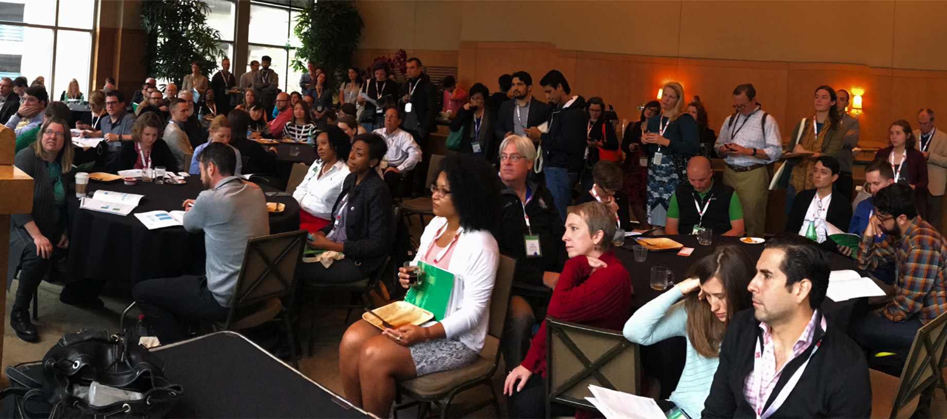 The Organization | CNU