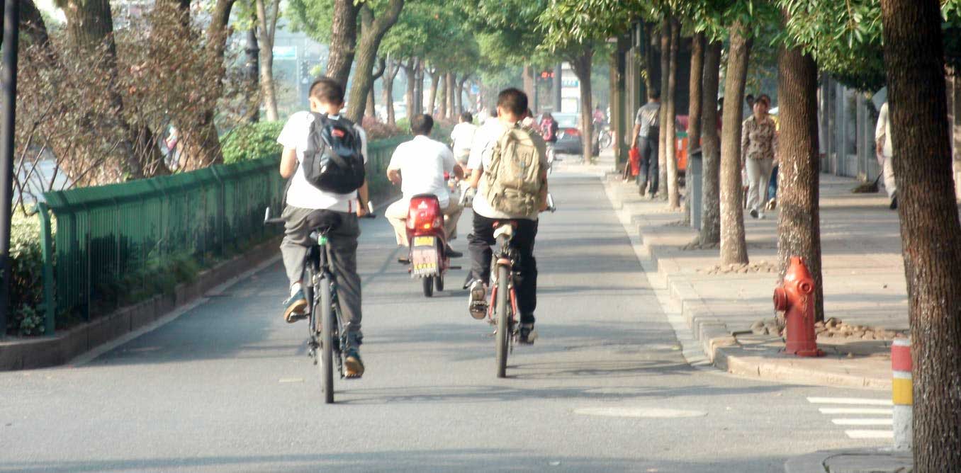 Are street trees the key to better cycle tracks? | CNU