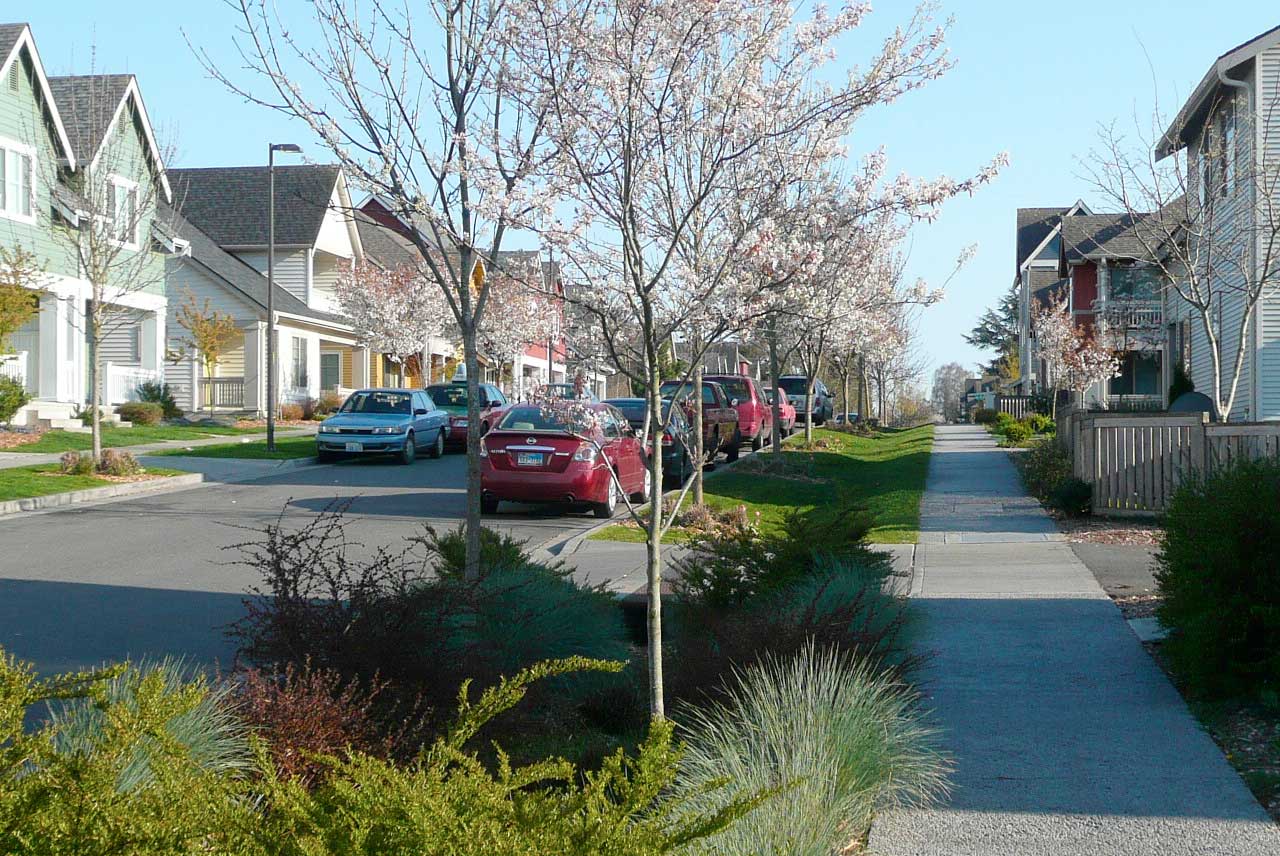 High Point Redevelopment Project | CNU