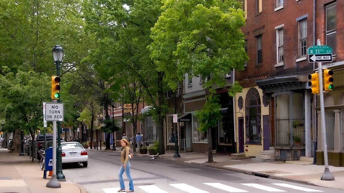 The powerful virtuous cycles of street trees | CNU