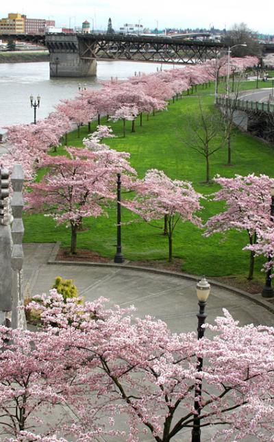 Highways to Boulevards | CNU